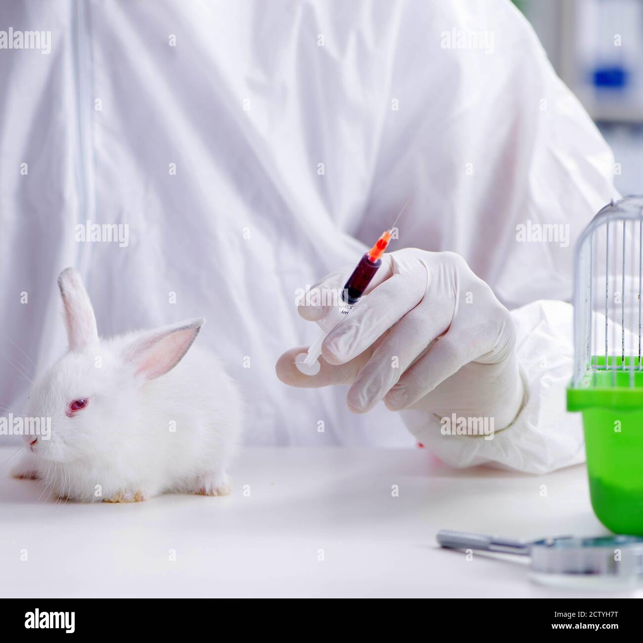 The white rabbit in scientific lab experiment Stock Photo - Alamy
