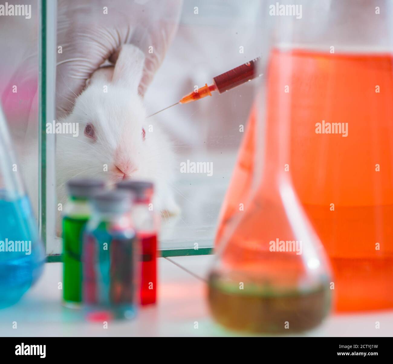 The white rabbit in scientific lab experiment Stock Photo - Alamy