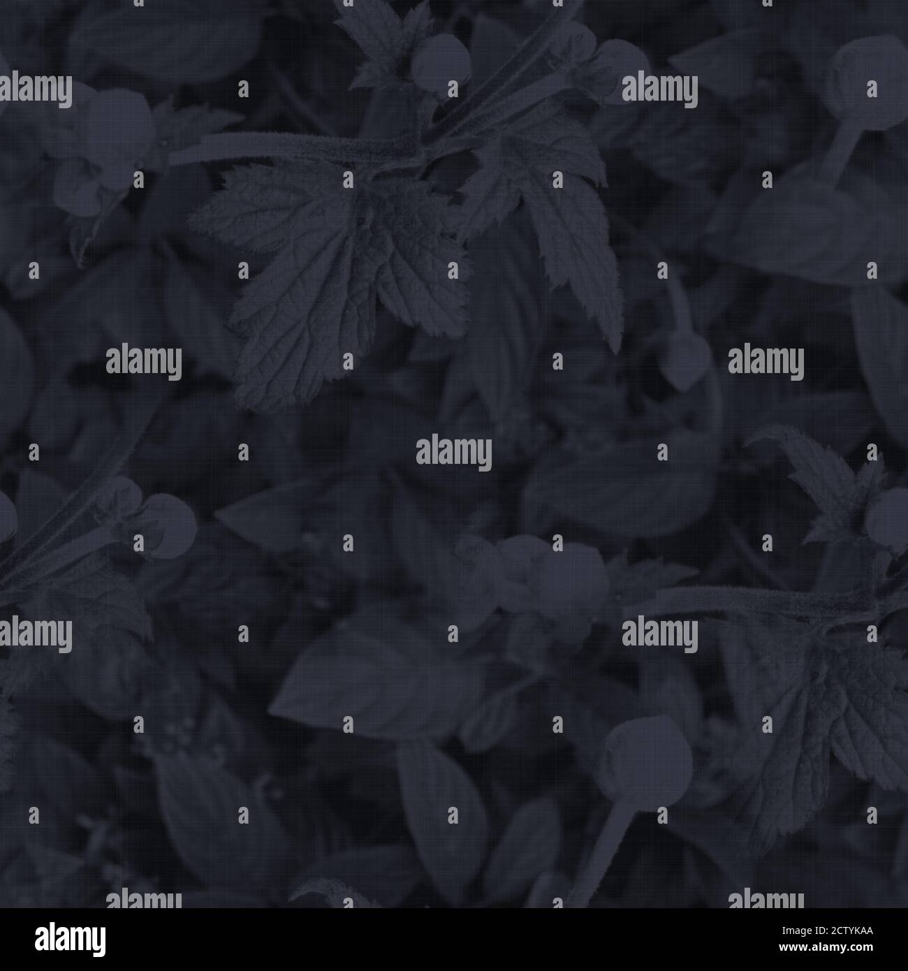 Dark moody almost black leaf seamless pattern Stock Photo - Alamy
