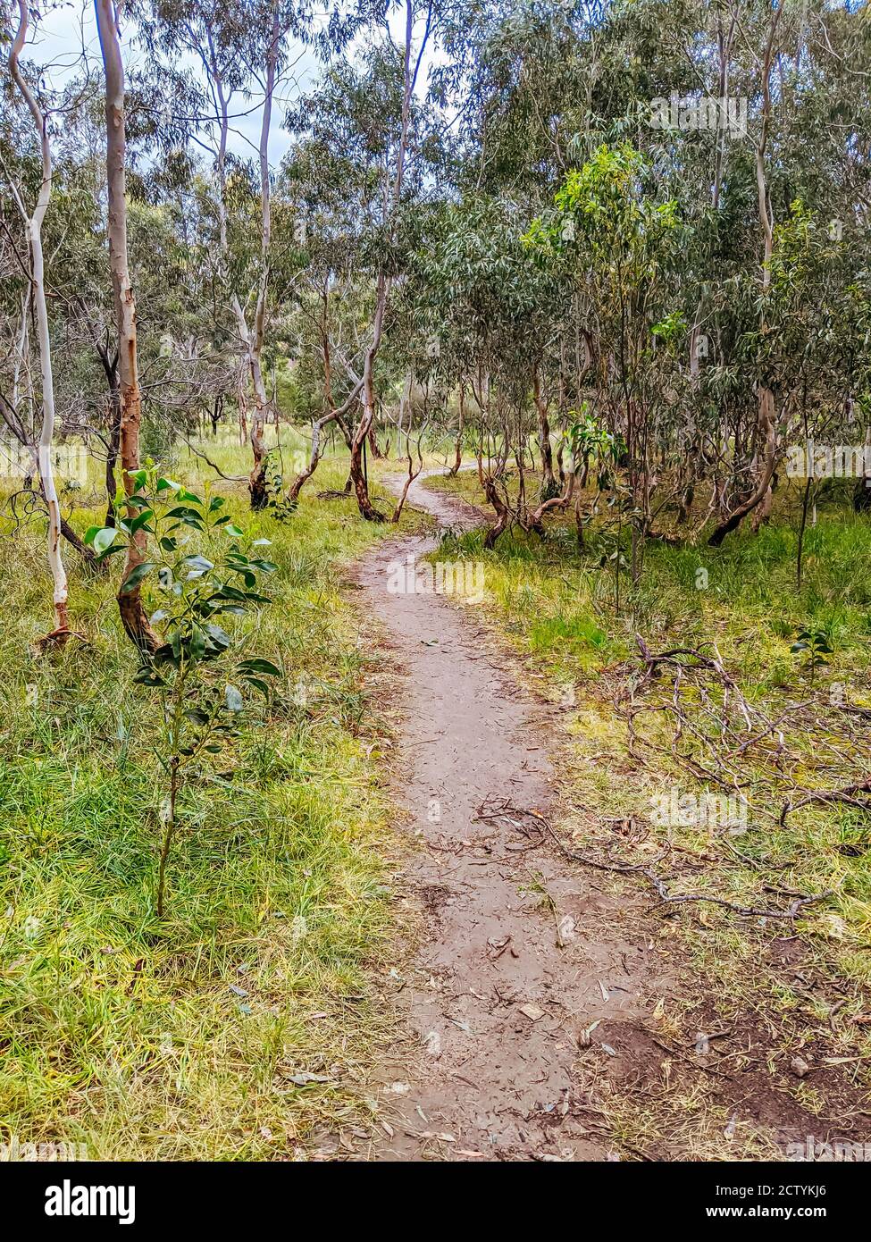 Australian cycle hi-res stock photography and images - Alamy