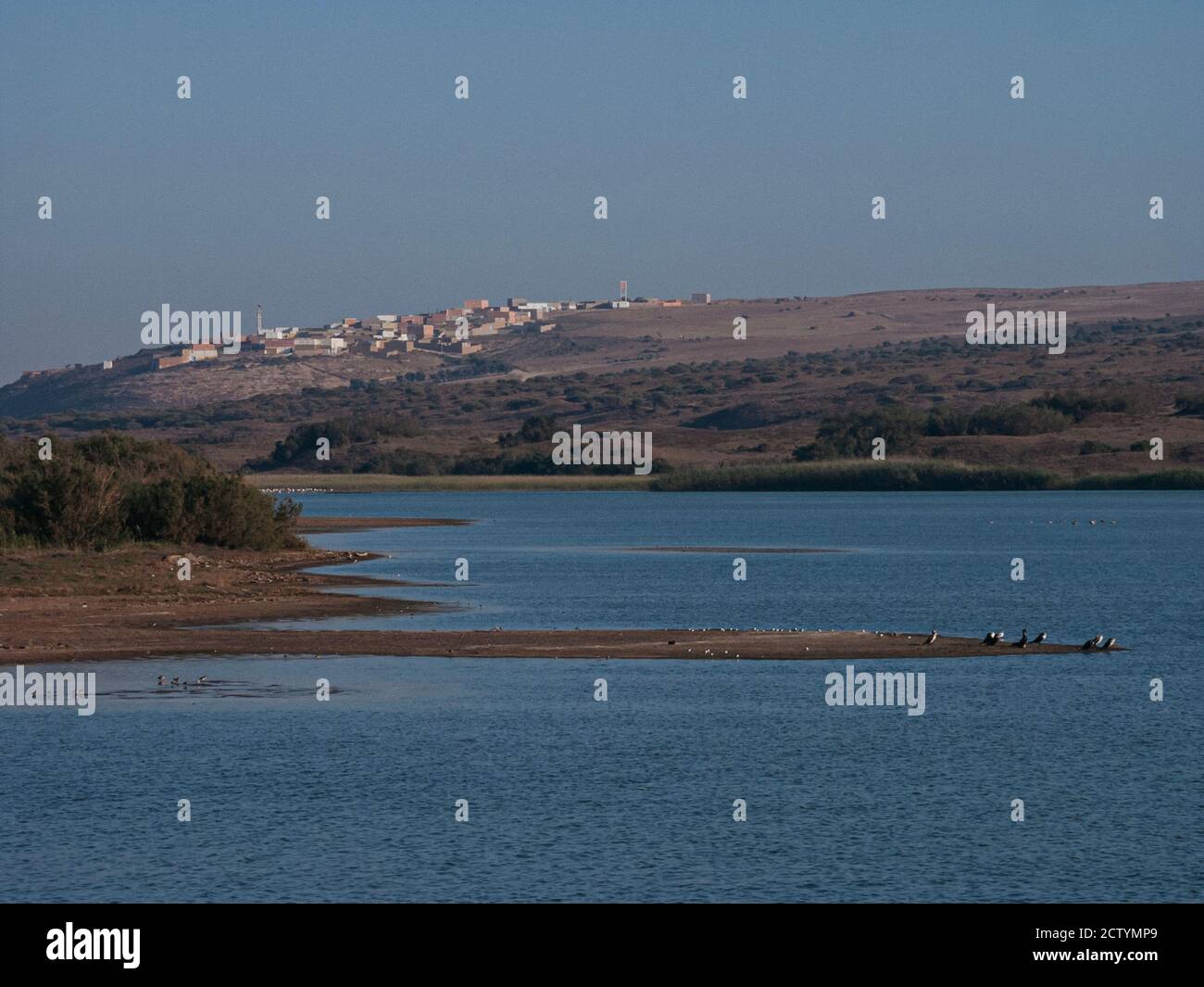 Oued massa nature reserve hi-res stock photography and images - Alamy