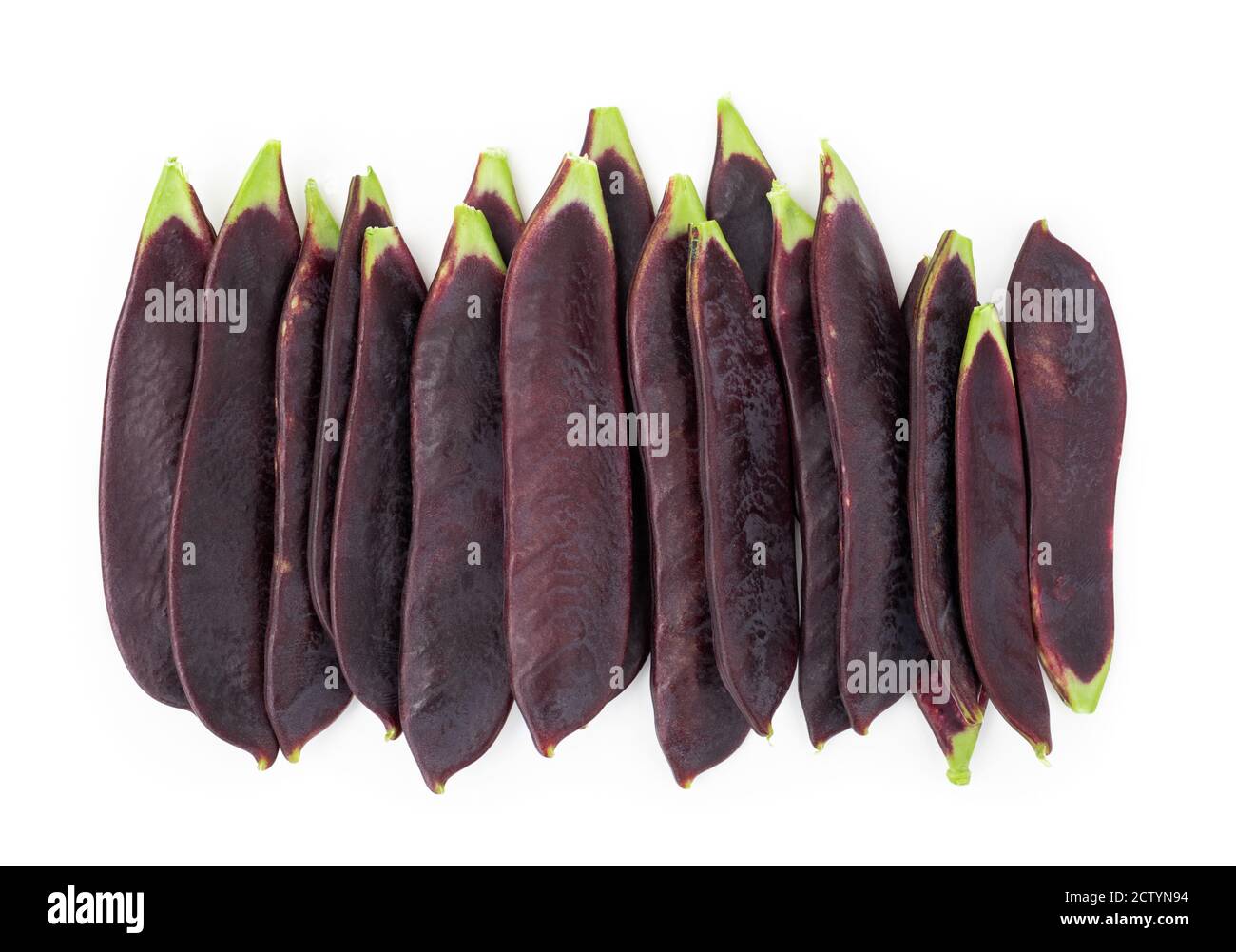 Unusual Seed Pods High Resolution Stock Photography and Images - Alamy