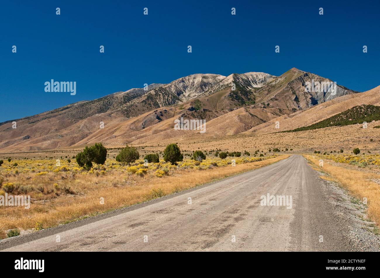 Ruby mountain nevada hi-res stock photography and images - Alamy