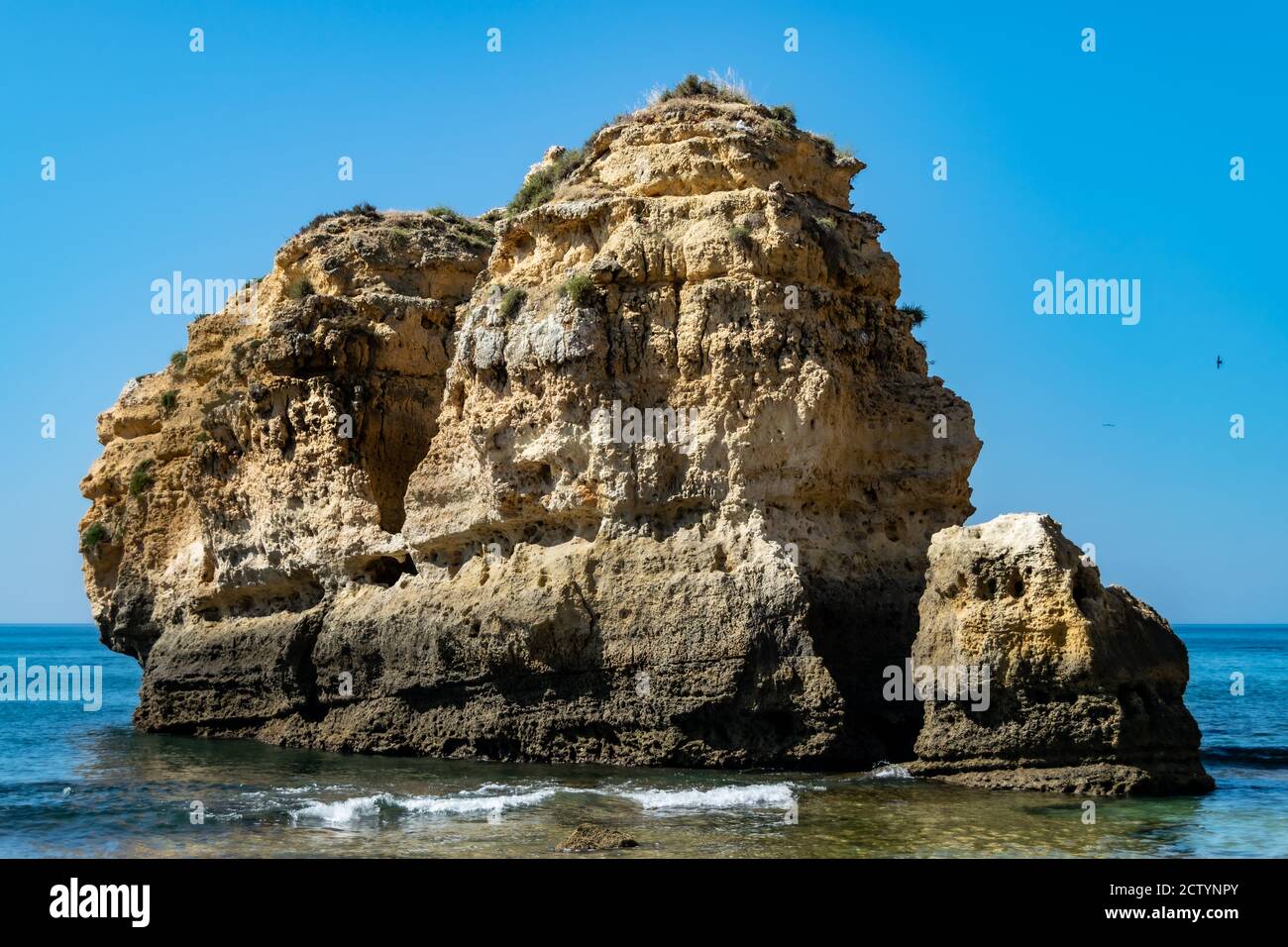 Rock in the ocean full os crabs in Albufeira, Algarve Portugal Stock ...