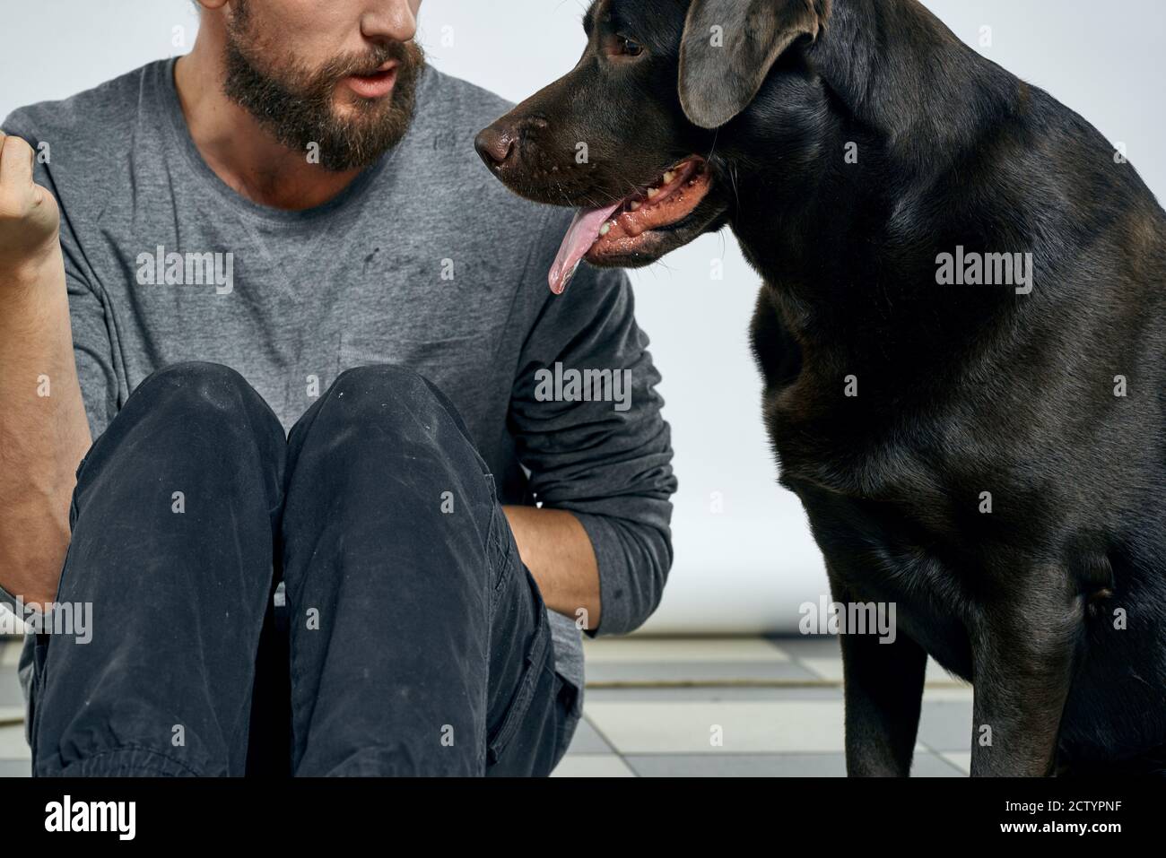 happy owner with pet black dog training model emotions Stock Photo - Alamy