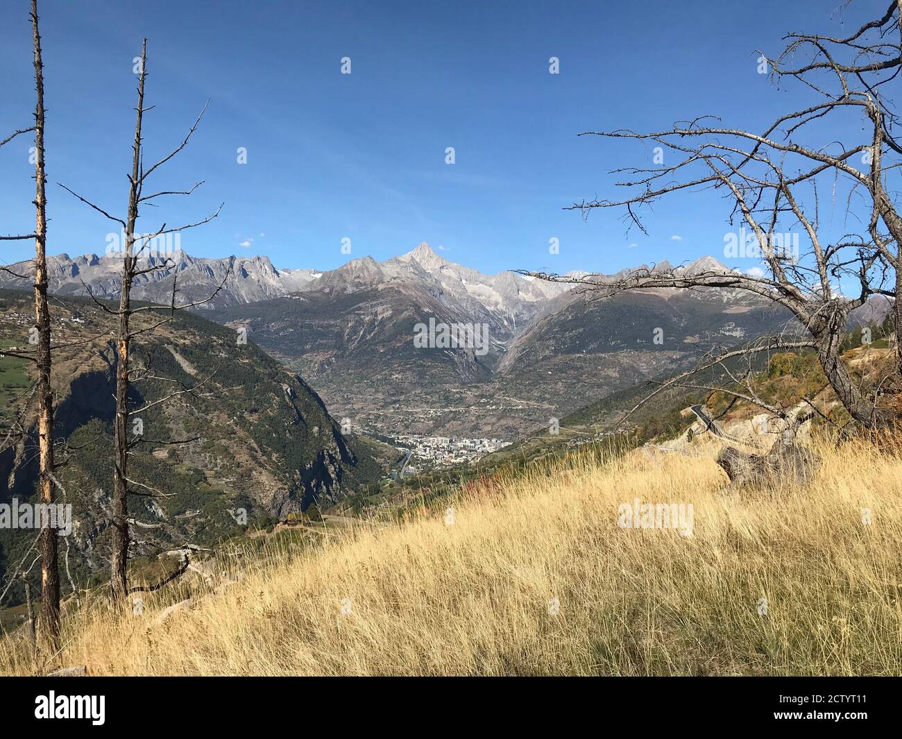 Autumn trees in swiss alps hi-res stock photography and images - Alamy