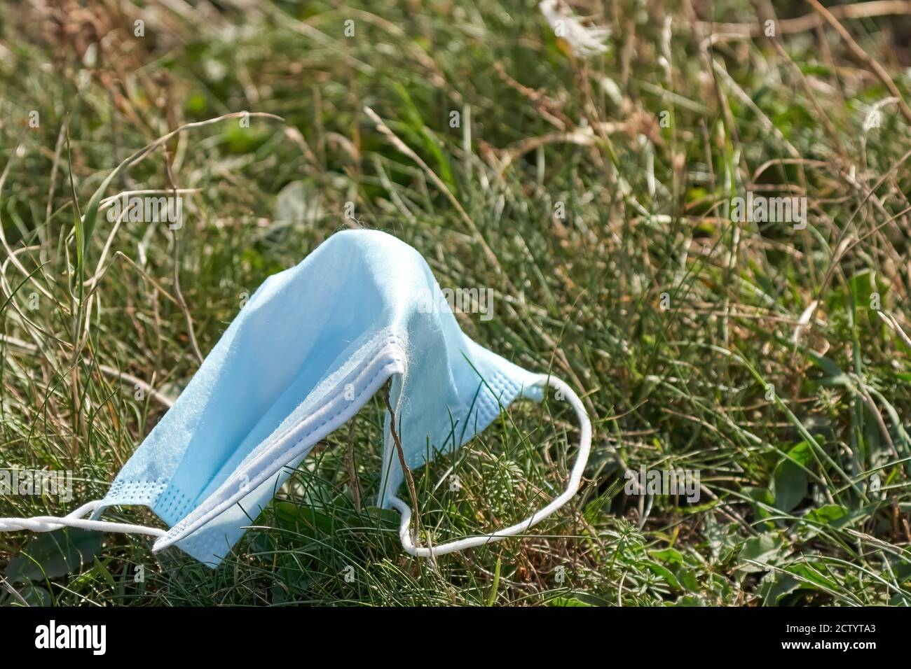 Used blue face mask on the ground in the grass. Face mask is disposed ...