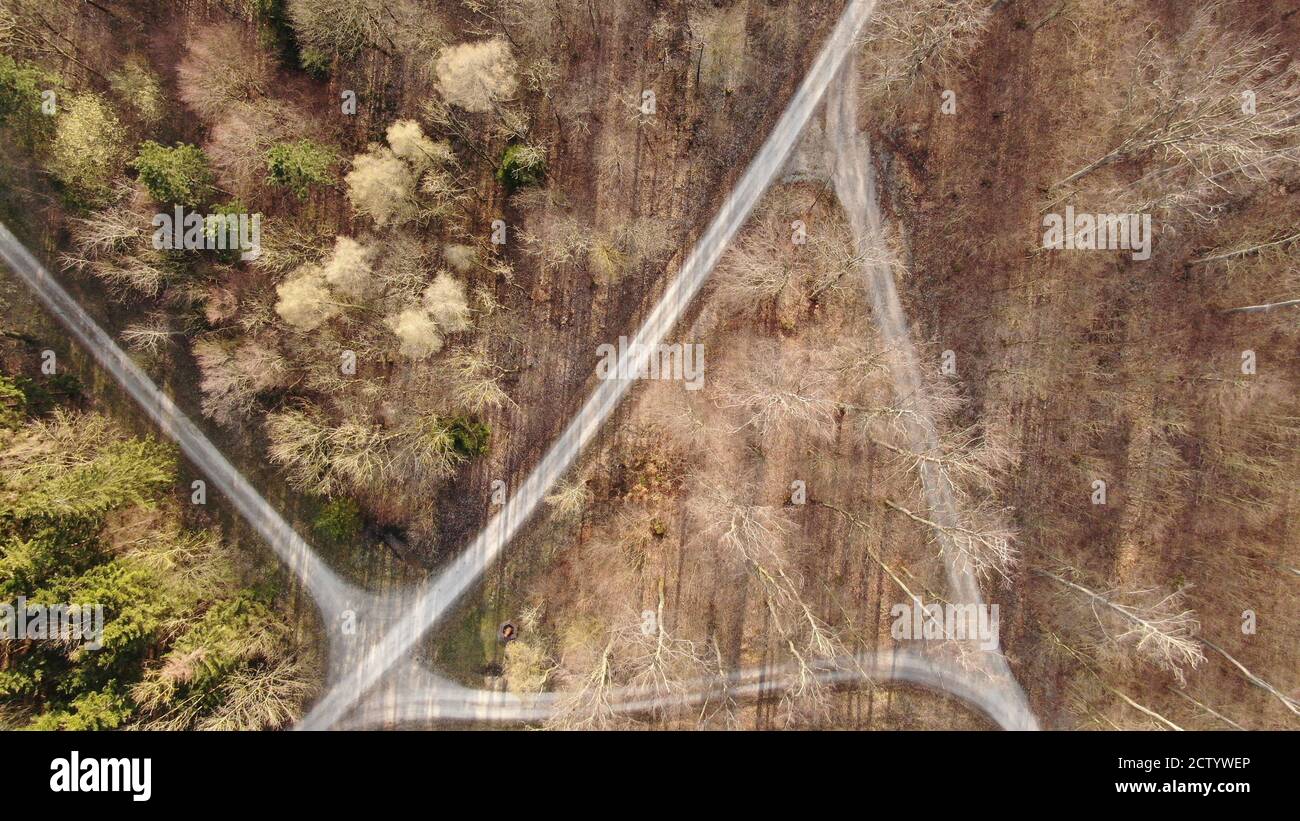 field way crossing in the forest Stock Photo - Alamy