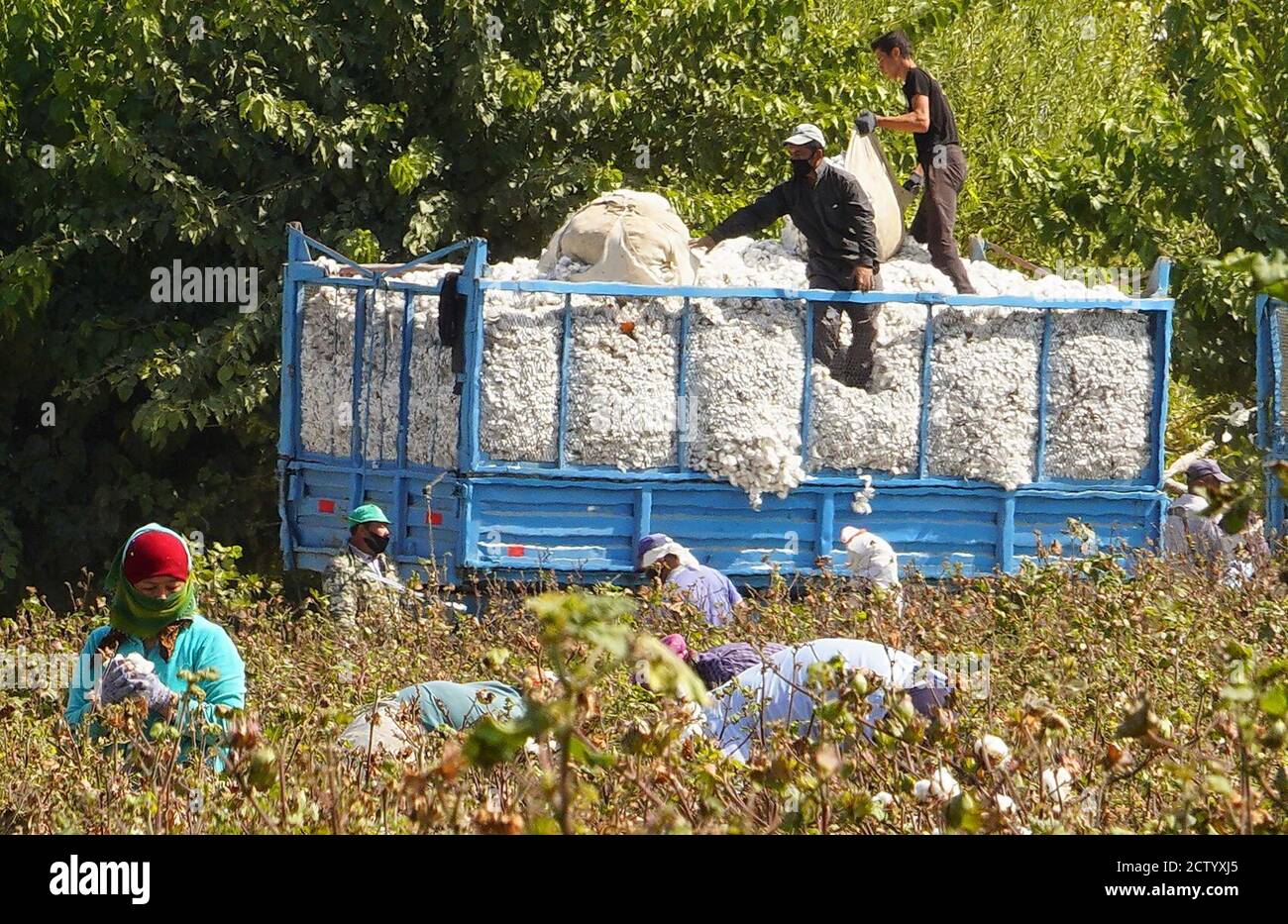 24 Sep 2020 High Resolution Stock Photography and Images - Alamy