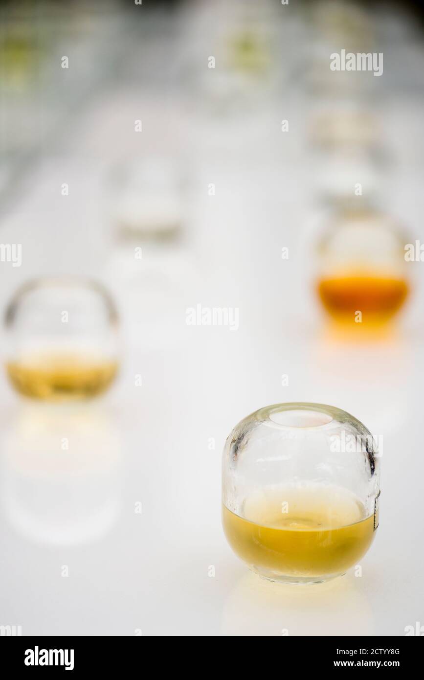 Perfume testers and sprays for scent recognition and culture Stock ...