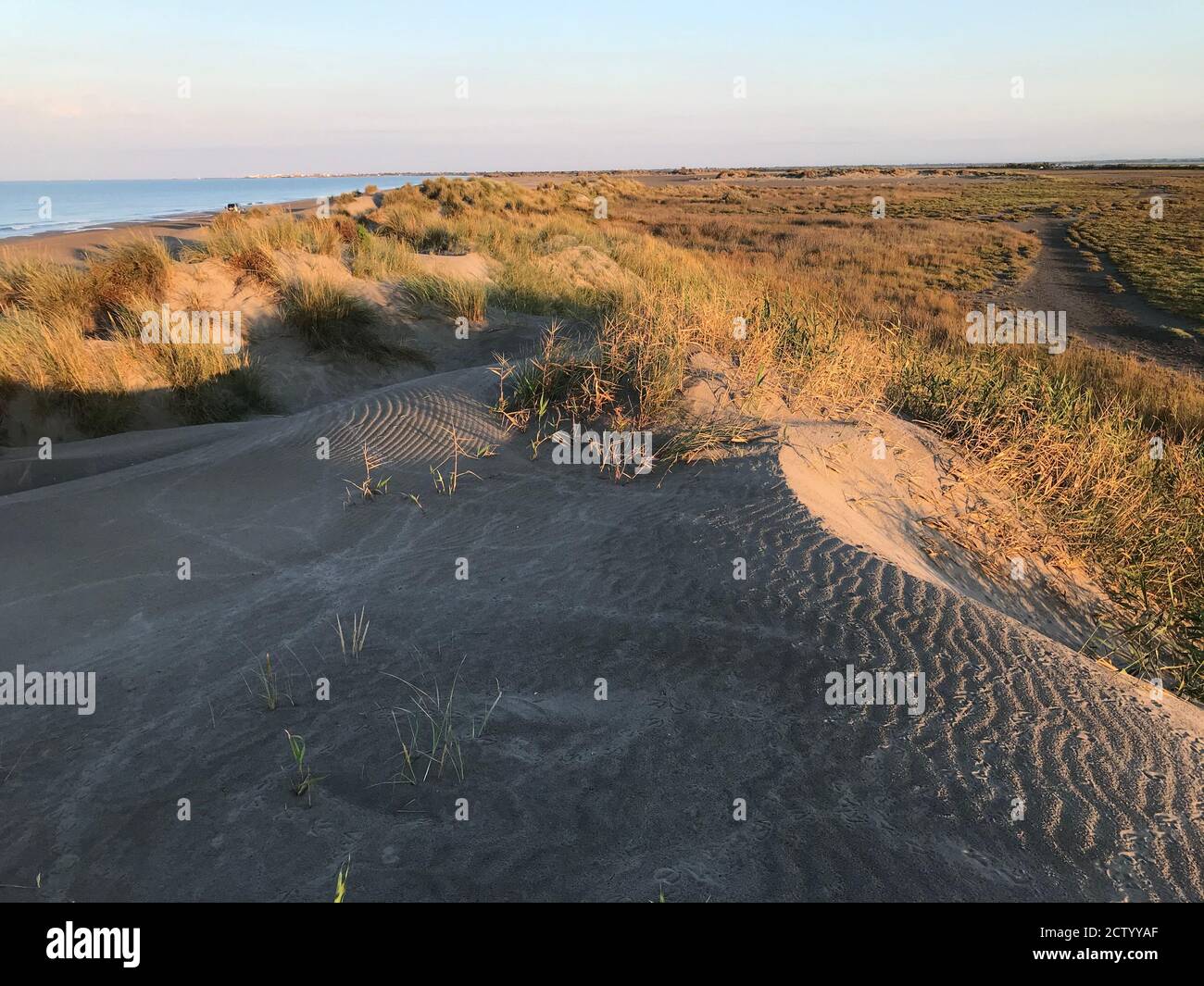 Dune beach, Camargue scenery, south France Stock Photo - Alamy