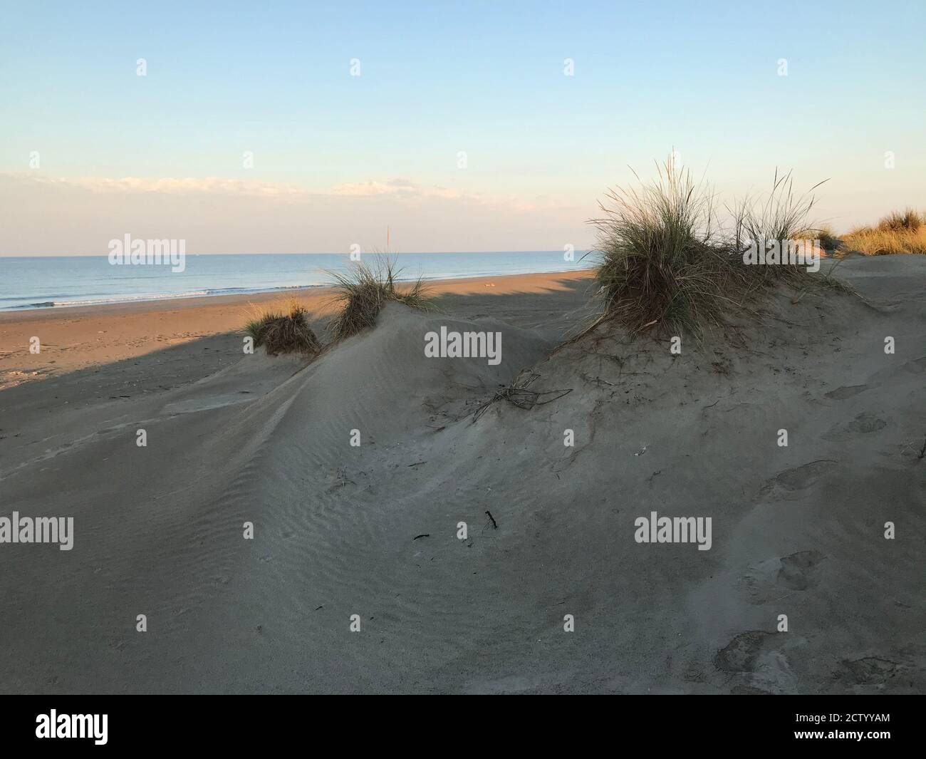 Dune beach, Camargue scenery, south France Stock Photo - Alamy