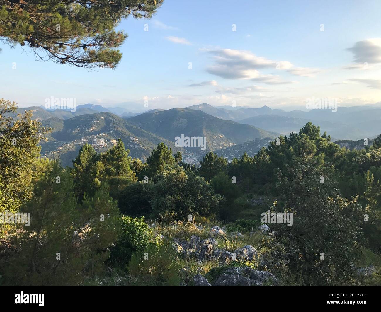 The pine forests in the rolling hills in the backcountry of Nice ...
