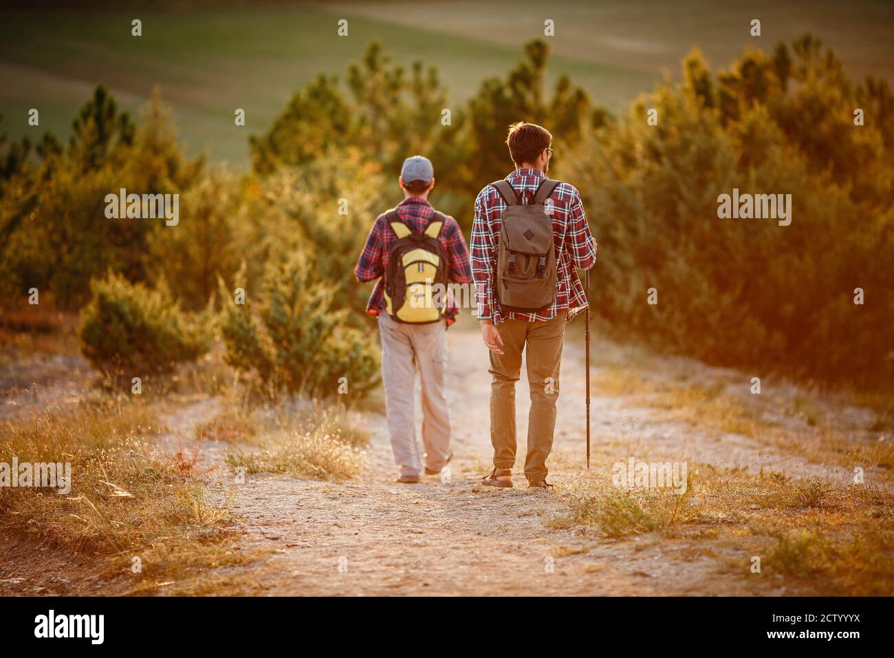 two men hikers enjoy a walk in nature, sunset time in summer. enjoying ...
