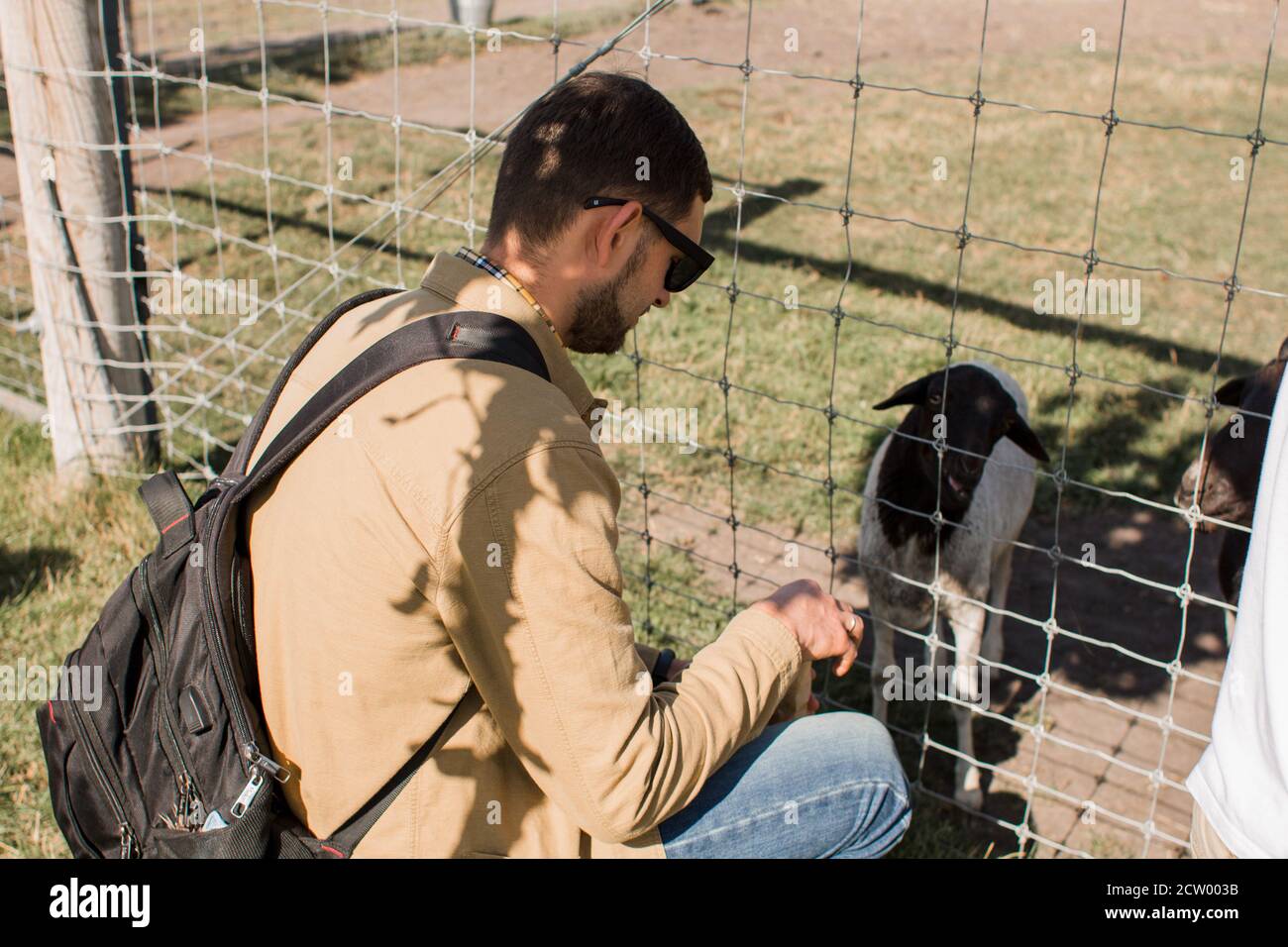 Male worker feeding goats hi-res stock photography and images - Alamy