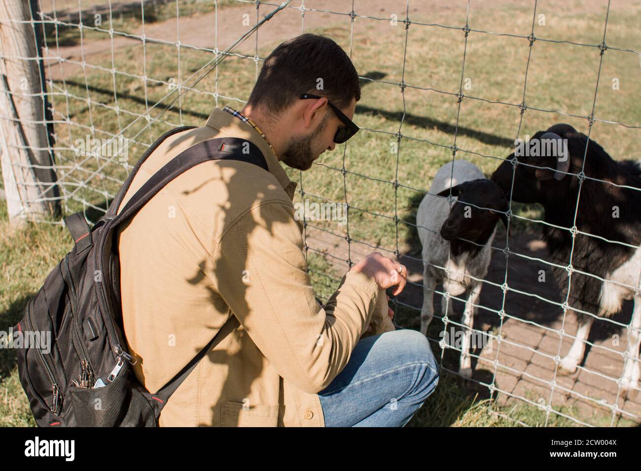 Man feeding goats through cage at the zoo Stock Photo - Alamy
