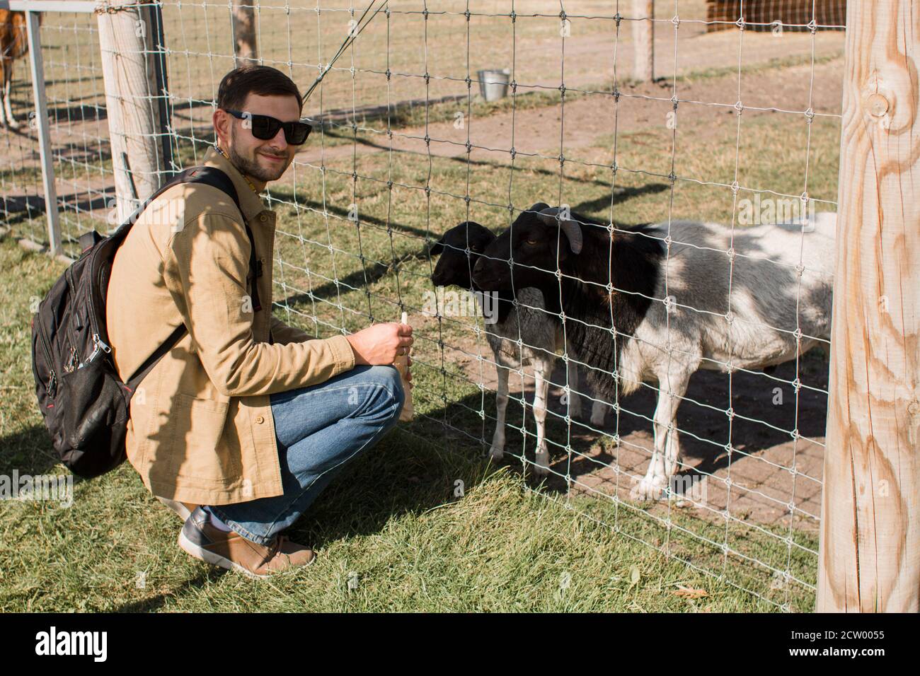Male worker feeding goats hi-res stock photography and images - Alamy