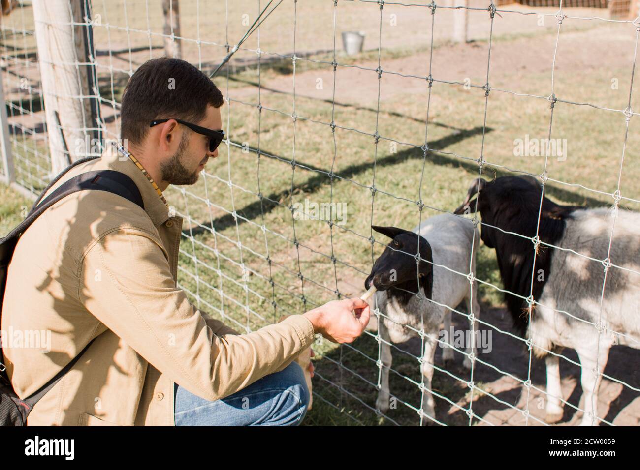 Man feeding goats through cage at the zoo Stock Photo - Alamy