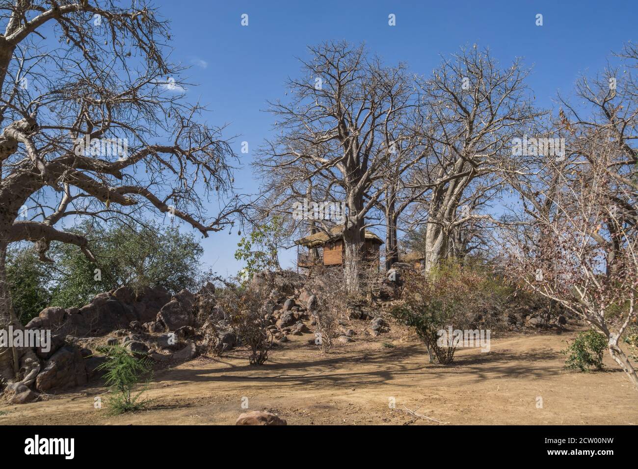 W national park of niger hi-res stock photography and images - Alamy