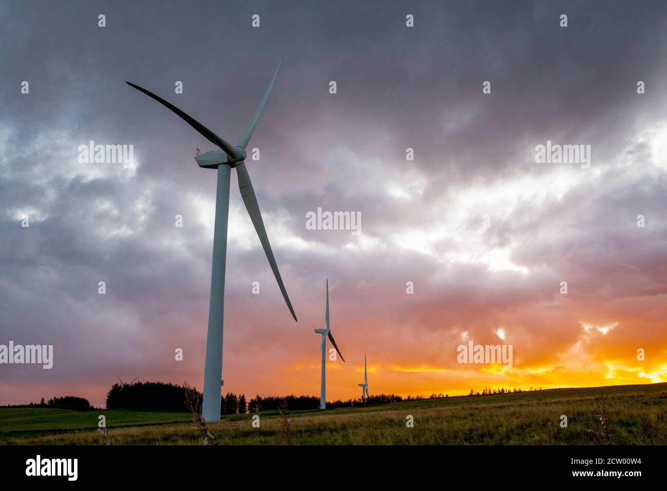 2009 number hi-res stock photography and images - Alamy