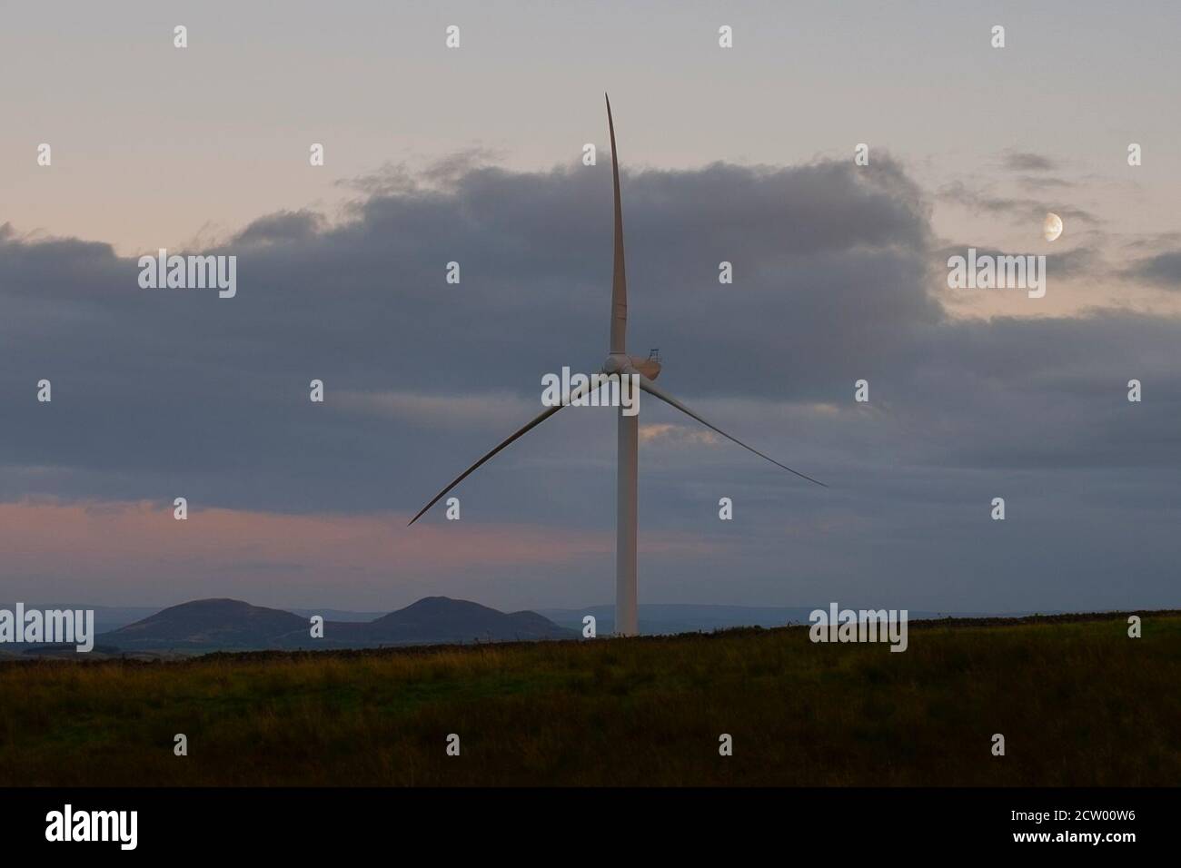 2009 number hi-res stock photography and images - Alamy