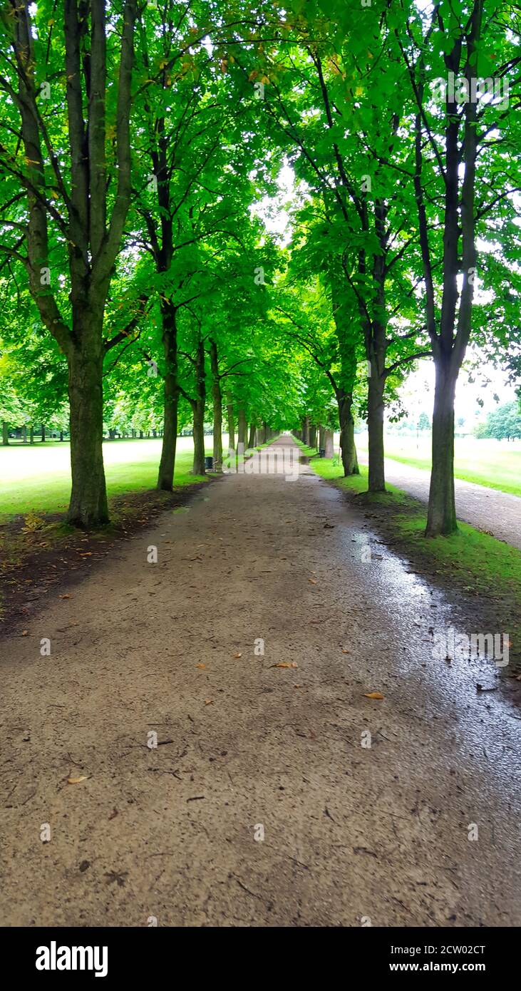Beautiful pathway with sunlight hi-res stock photography and images - Alamy