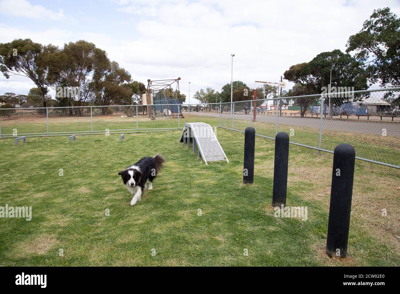 Dog park agility equipment hi-res stock photography and images - Alamy