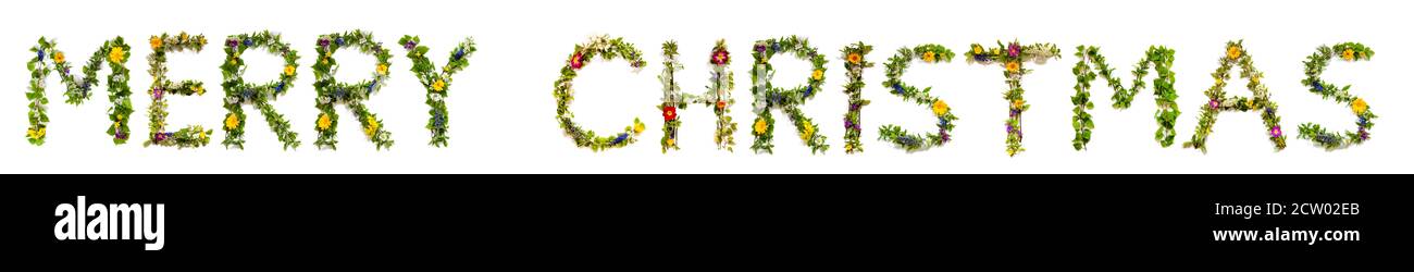 Flower And Blossom Letter Building Word Merry Christmas Stock Photo - Alamy