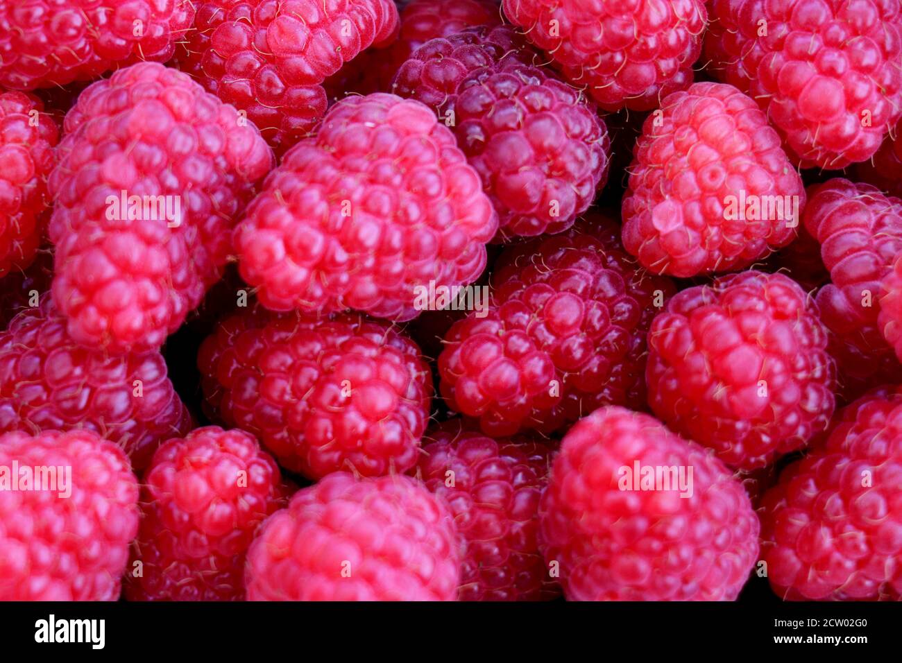 Pile of Raspberries - background Stock Photo - Alamy