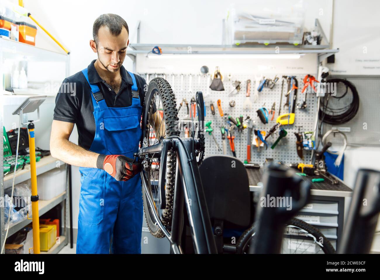 Bicycle assembly in workshop, man installs wheel Stock Photo - Alamy