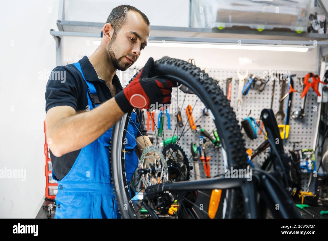 Bicycle assembly in workshop, man installs wheel Stock Photo - Alamy