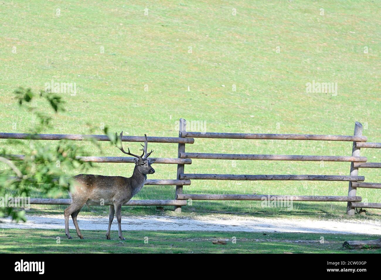 Zoological Nature Reserve High Resolution Stock Photography and Images ...