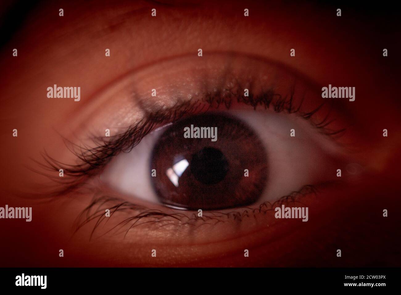 Close-up photograph of the human eye Stock Photo - Alamy