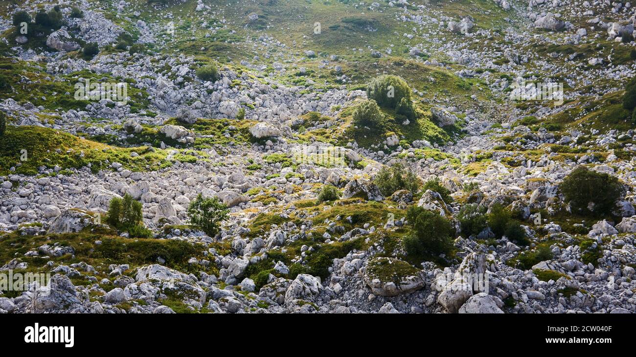 green rocky karst mountain plateau in sunbeams Stock Photo - Alamy