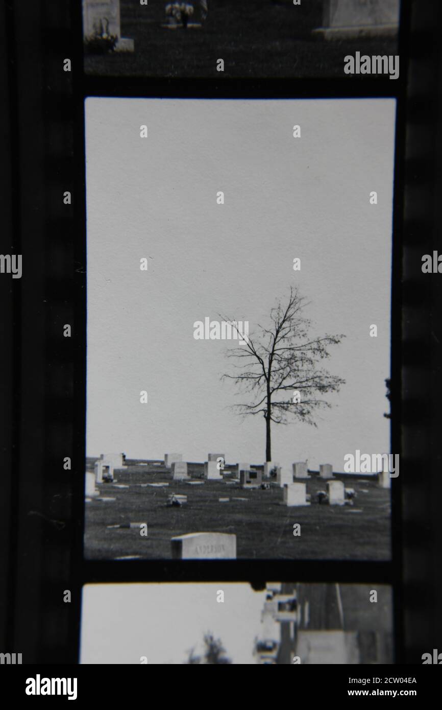 Fine 1970s vintage black and white photography of gravestones standing ...