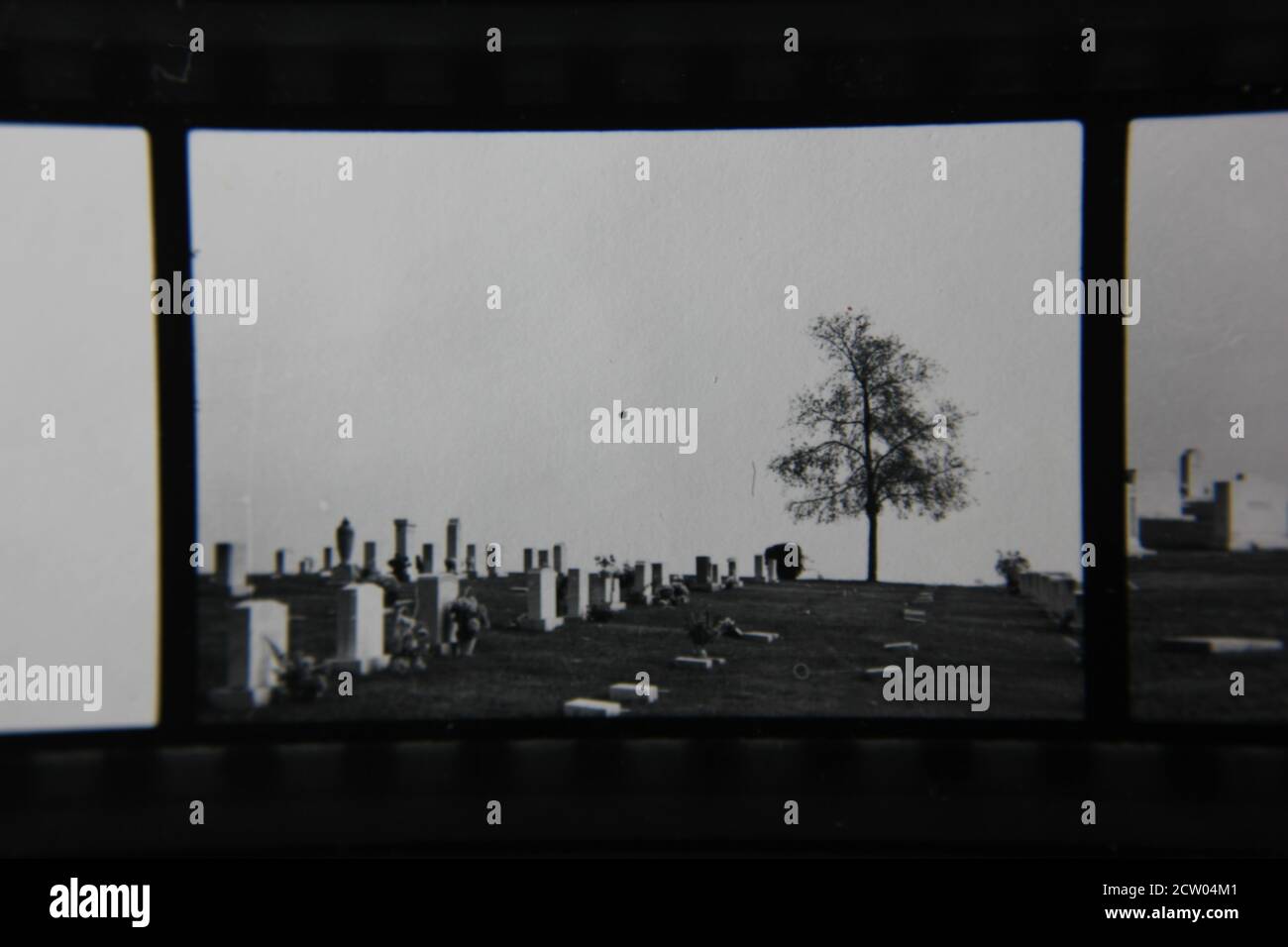 Fine 1970s vintage black and white photography of gravestones standing ...
