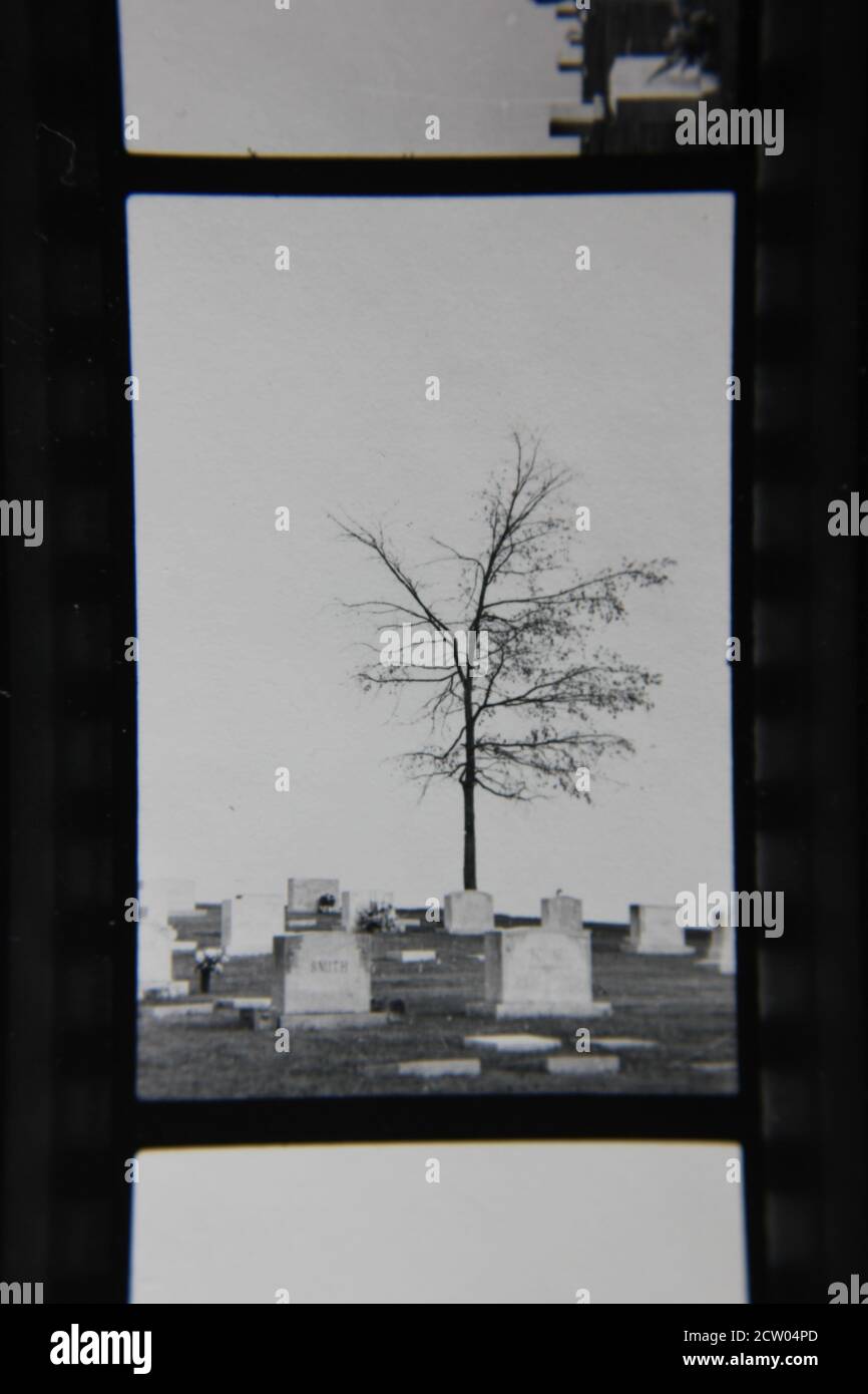 Fine 1970s vintage black and white photography of gravestones standing ...
