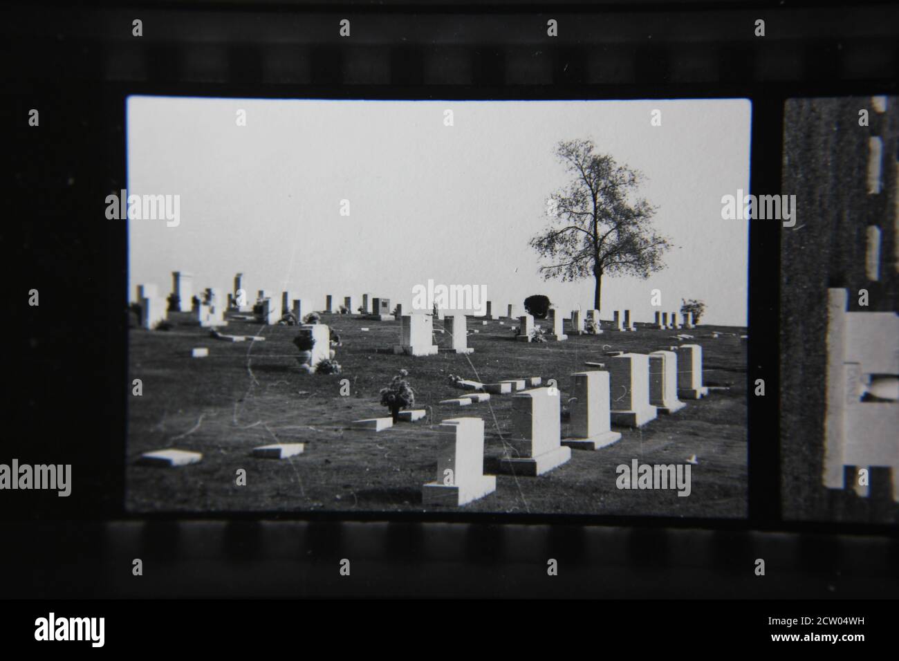 Fine 1970s vintage black and white photography of gravestones standing ...