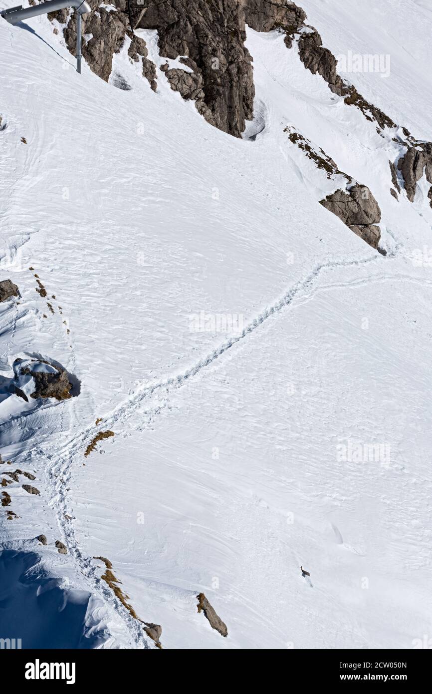 Berghang, Spuren im Schnee, Allgäuer Alpen, Oberstdorf Stock Photo - Alamy