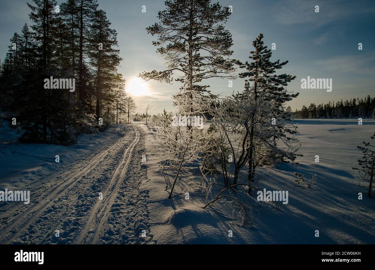 Ski tracks in cold winter weather, Norway Stock Photo - Alamy