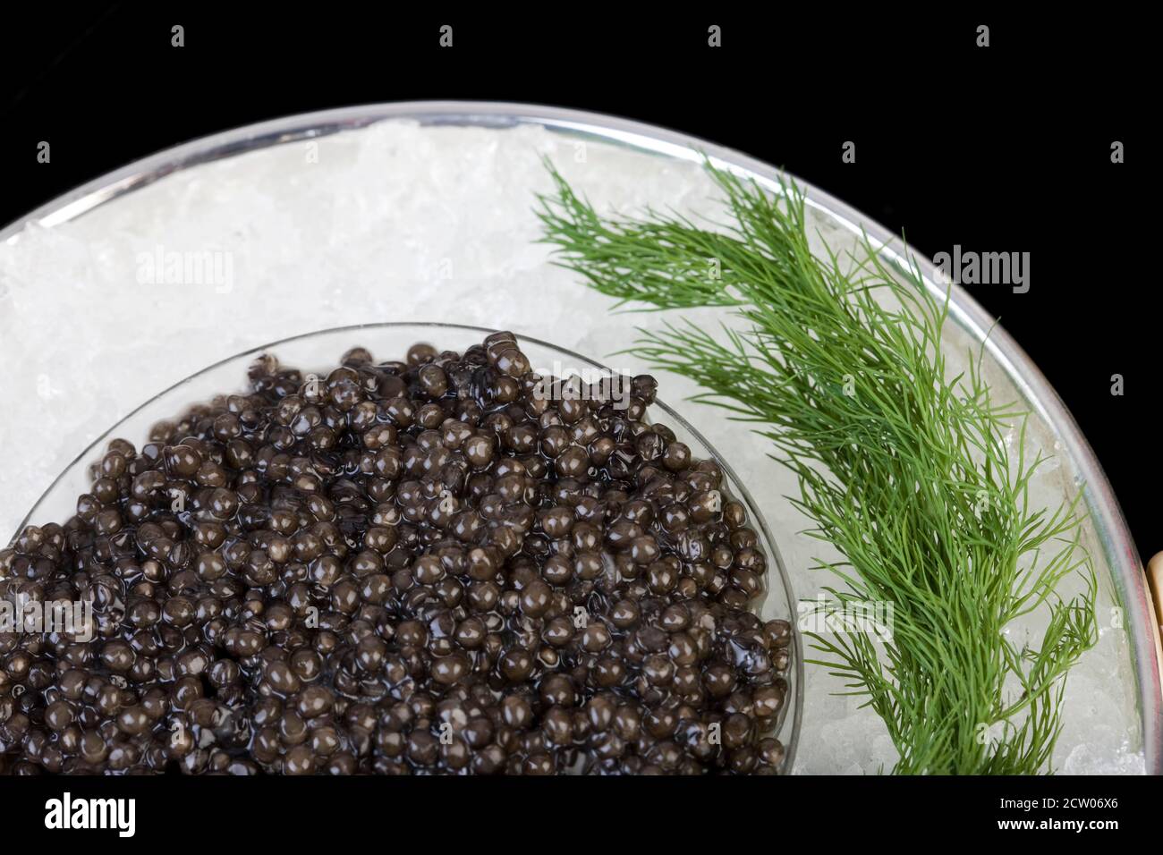 Sturgeon acipenser sp hi-res stock photography and images - Alamy