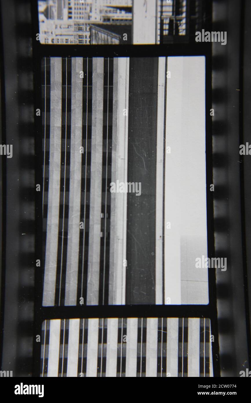 Fine 1970s vintage black and white photography of a closeup of the ...