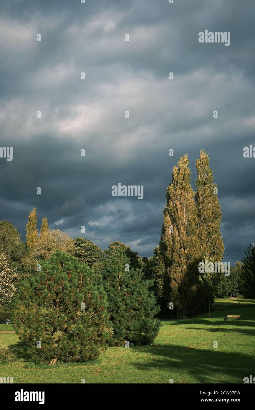 Preston lancashire uk park hi-res stock photography and images - Alamy