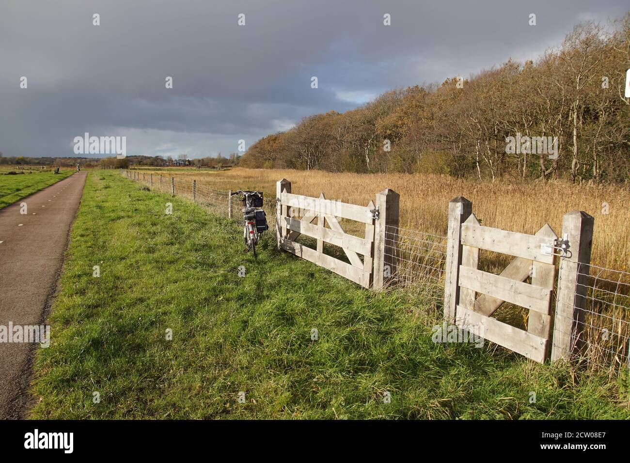 Meadow landscape with a cycle path along a forest with sun and rain ...