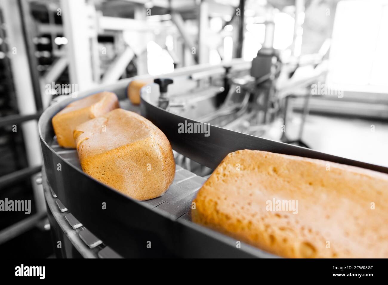 Automatic production line bakery Baked breads from hot oven Stock Photo ...