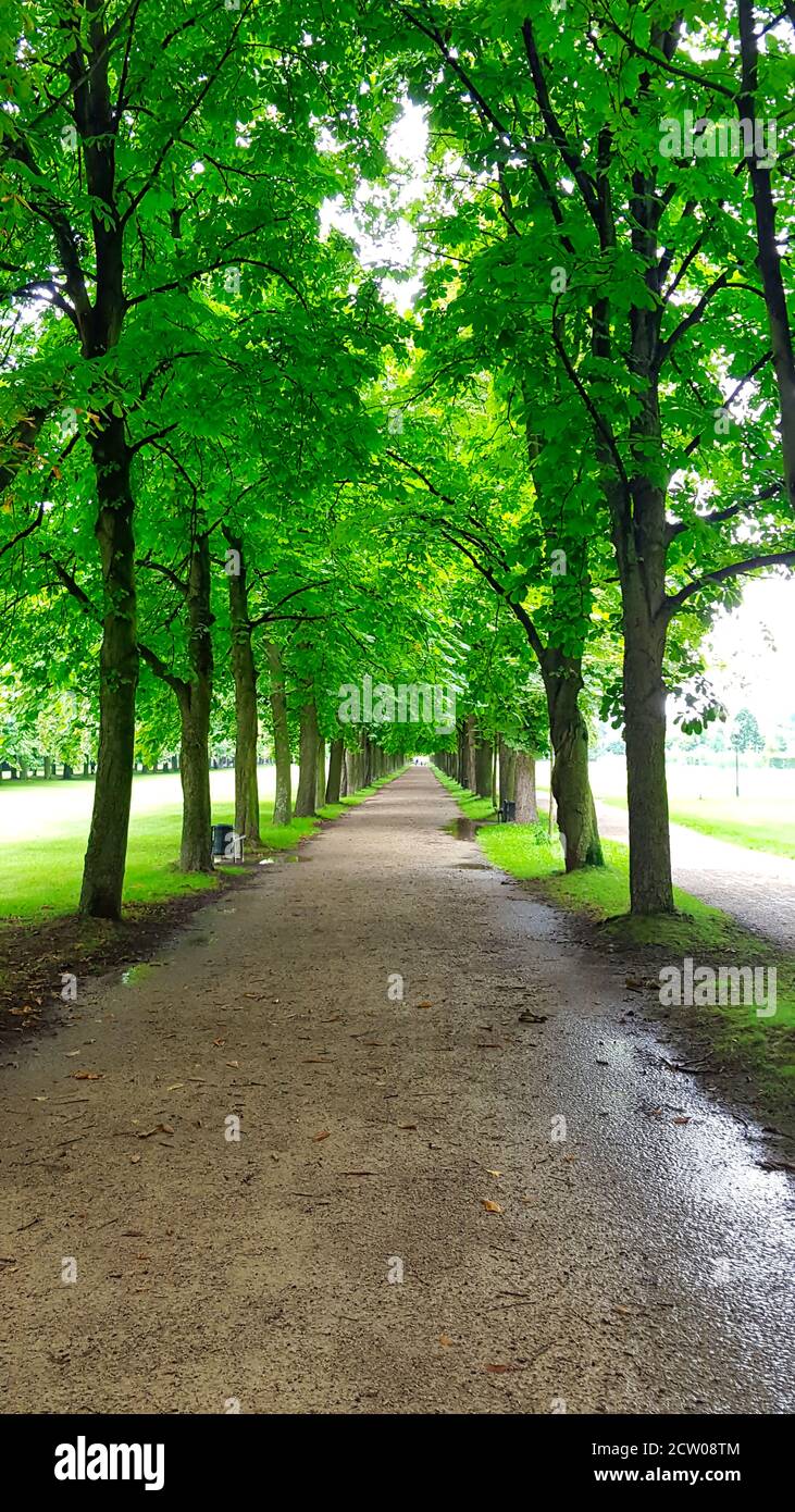 a beautiful footpath in a park of a castle Stock Photo - Alamy