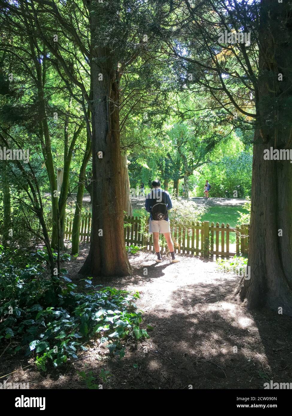 Peckham rye park hi-res stock photography and images - Alamy