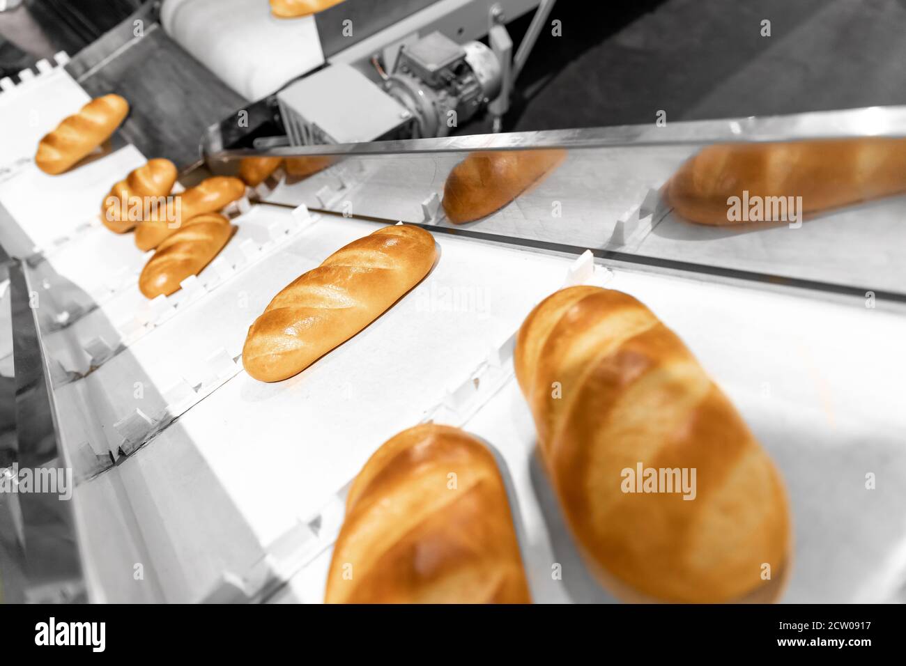 Fresh hot baked breads on automated production line bakery. Manufacture ...