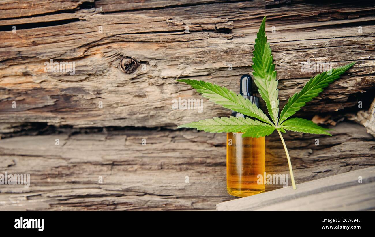 Concept medical marijuana. Cannabis CBD oil extracts in jars herb and leaves Stock Photo - Alamy
