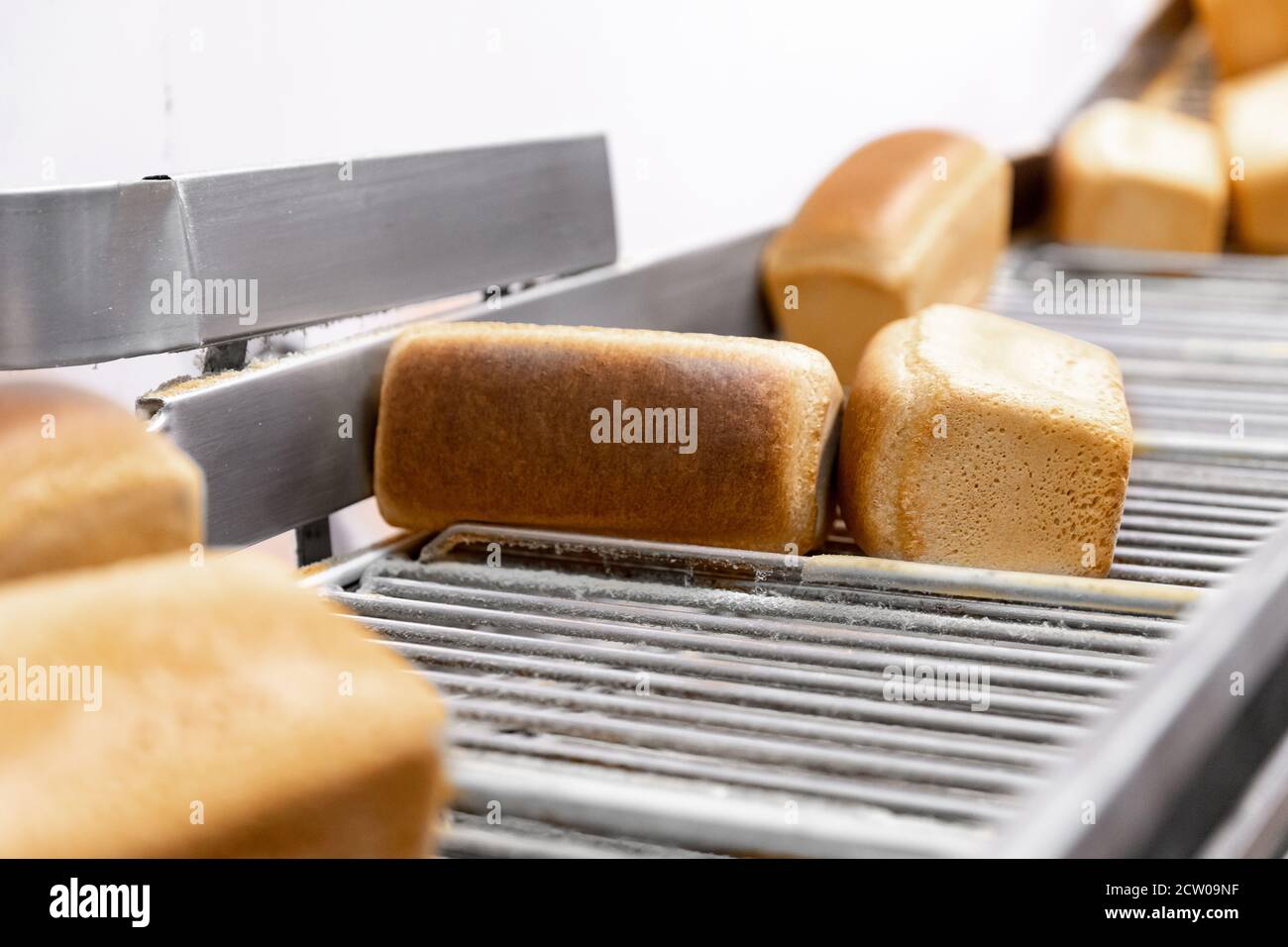 Baked breads on automatic production line bakery from hot oven Stock ...